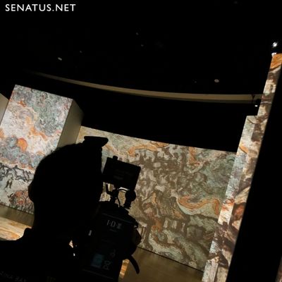Van Gogh Alive - The Exhibition | SENATUS