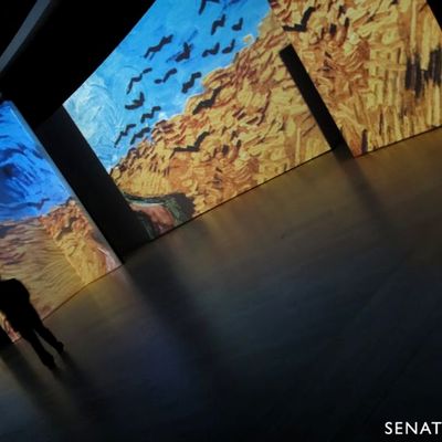 Van Gogh Alive - The Exhibition | SENATUS
