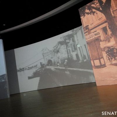 Van Gogh Alive - The Exhibition | SENATUS