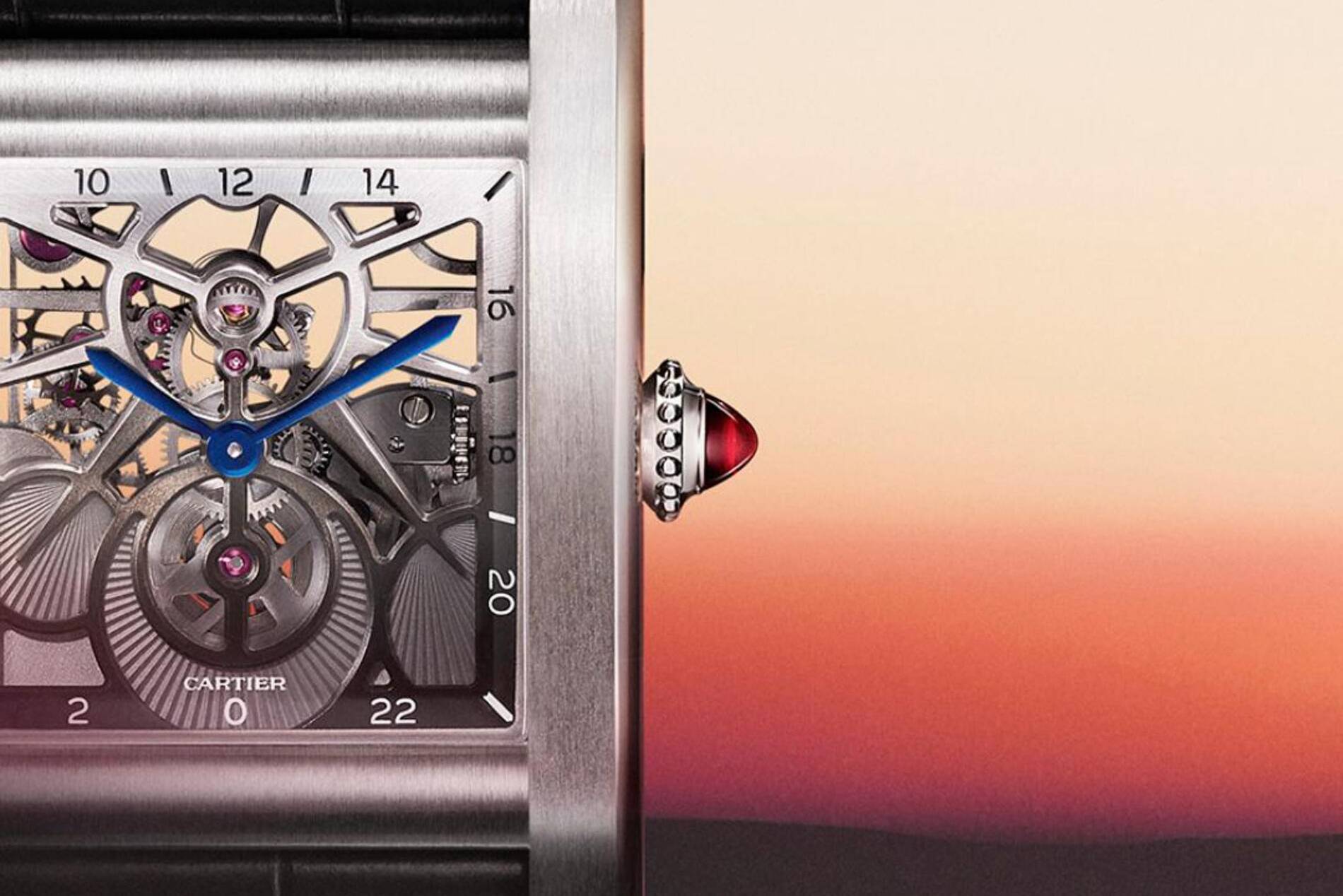 CARTIER Articles | SENATUS
