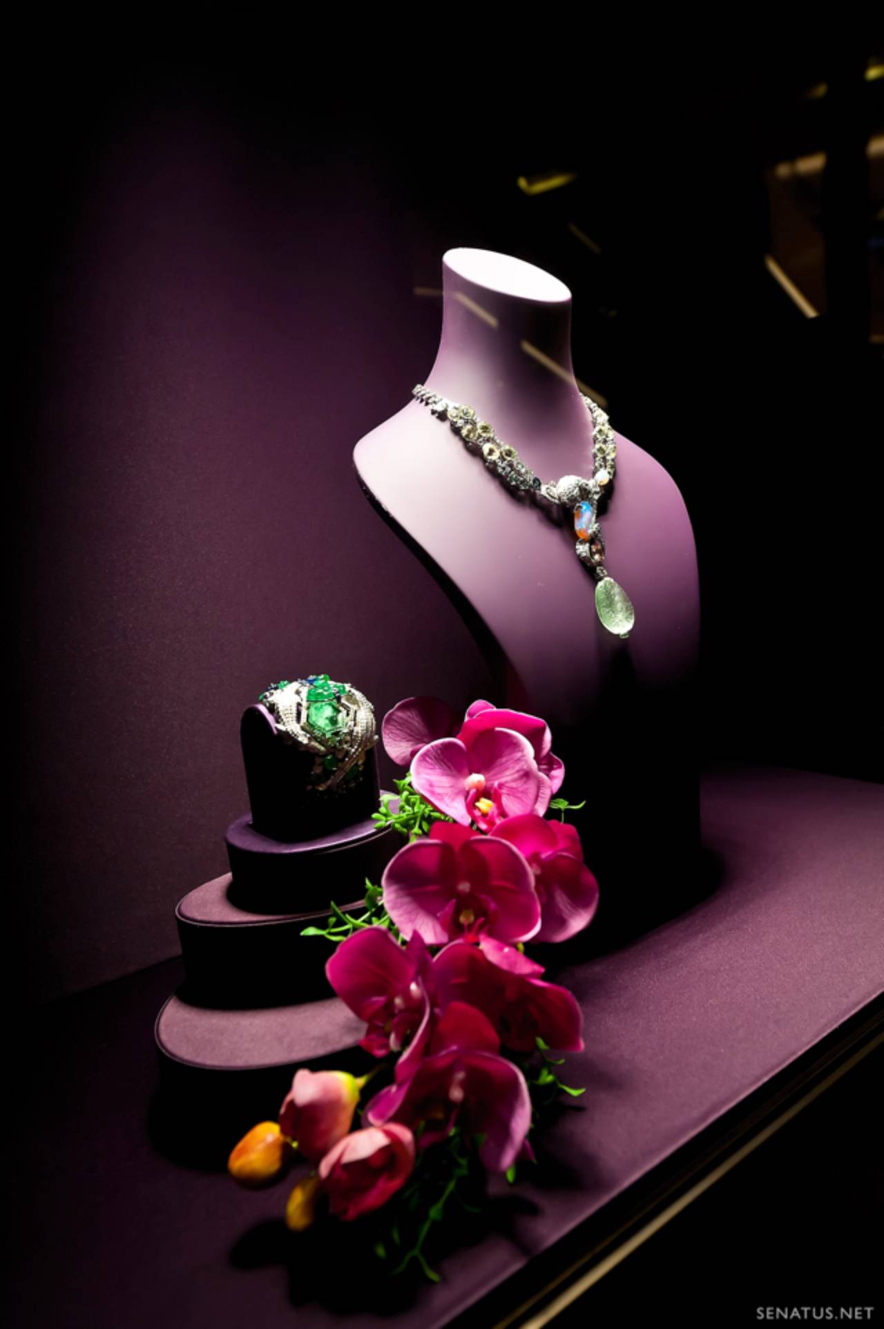 Cartier Naturellement Exhibition at ION Orchard in Singapore | SENATUS