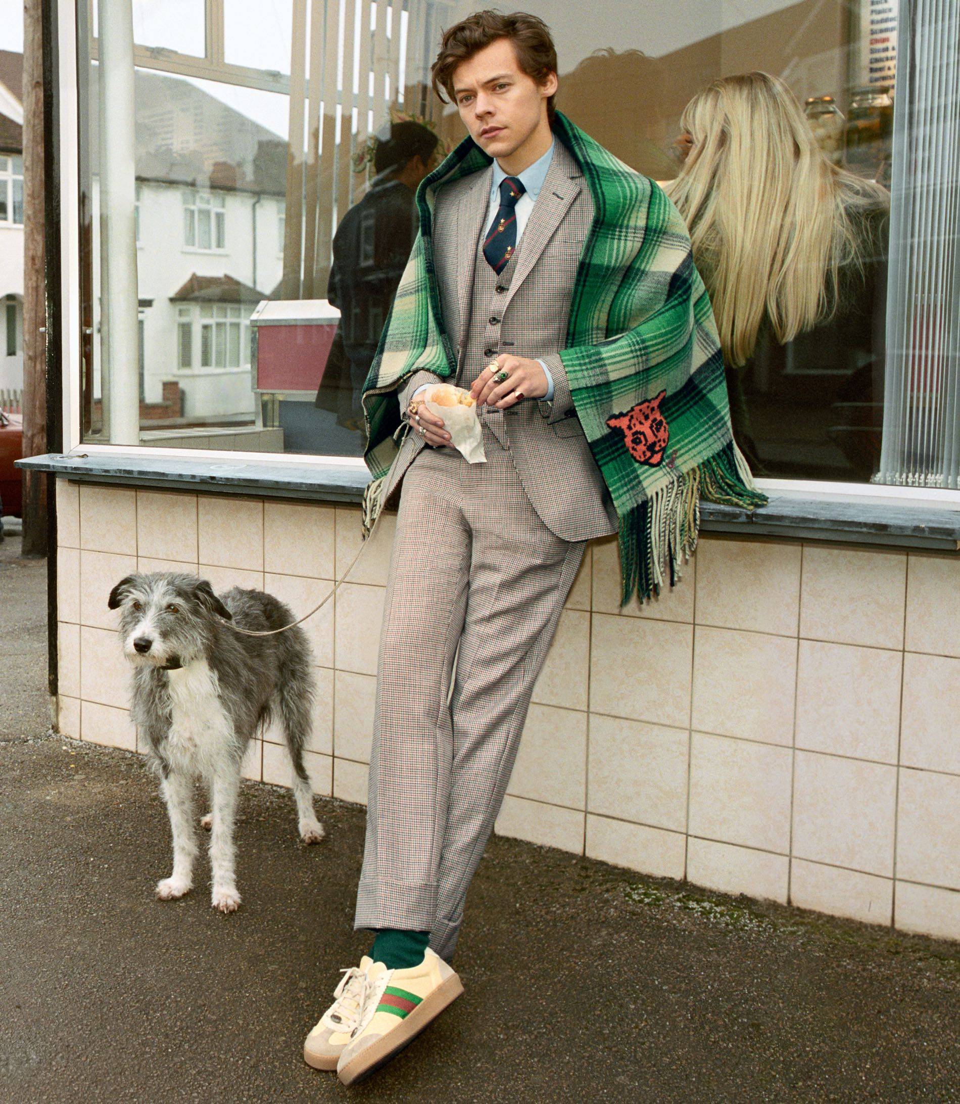 Harry Styles in First Ad Campaign for Gucci | SENATUS