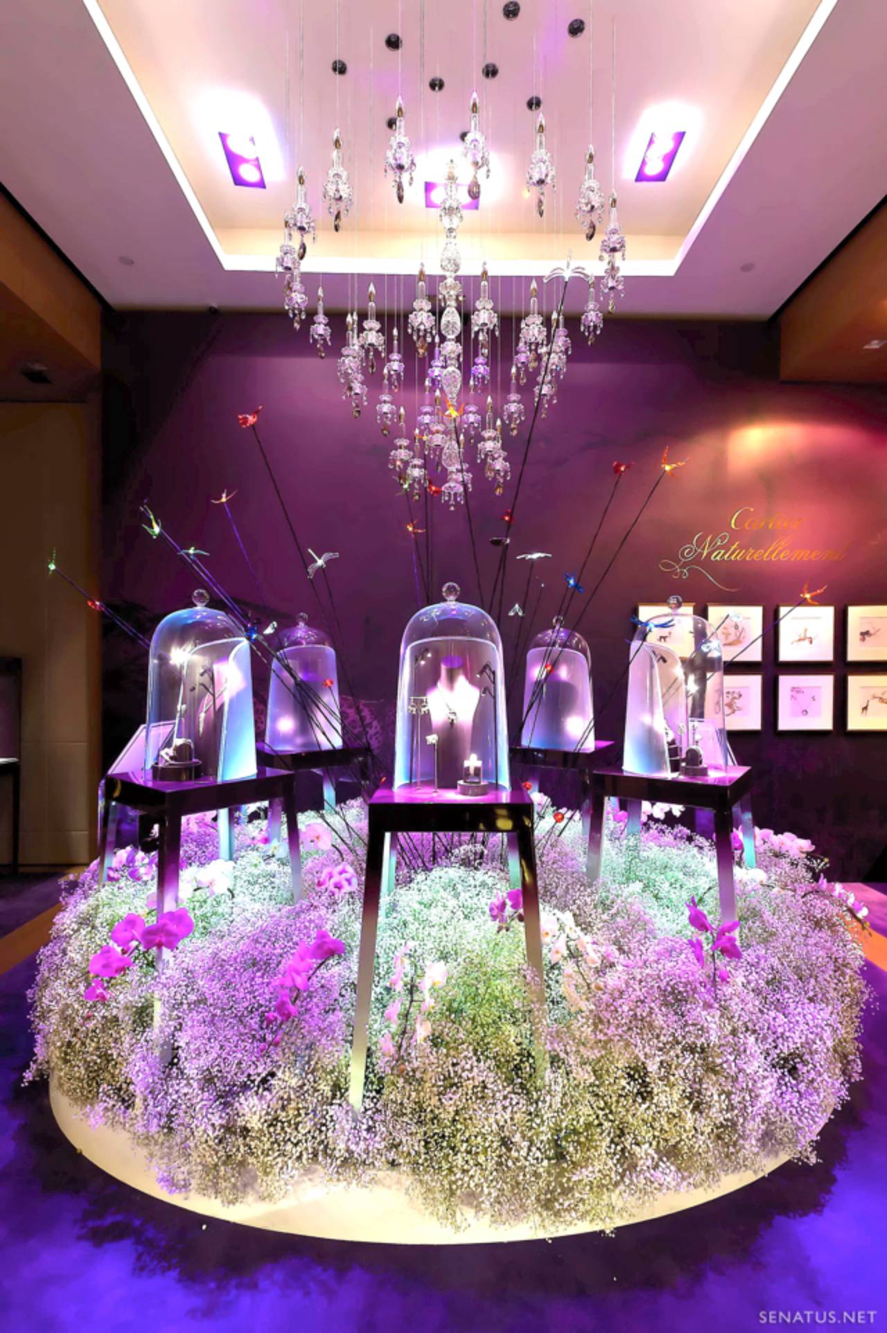 Cartier Naturellement Exhibition at ION Orchard in Singapore | SENATUS